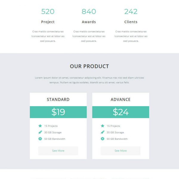 قالب ایمیل ریسپانسیو به همراه Border - StampReady Builder | پی‌پی‌تی المنت| ابزارهای طراحی خلاقانه